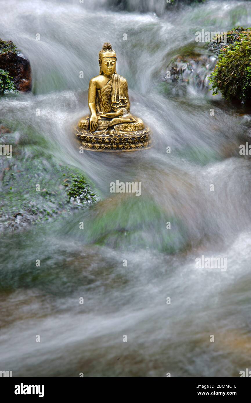 Buddha Meditation Waterfall High Resolution Stock Photography and ...