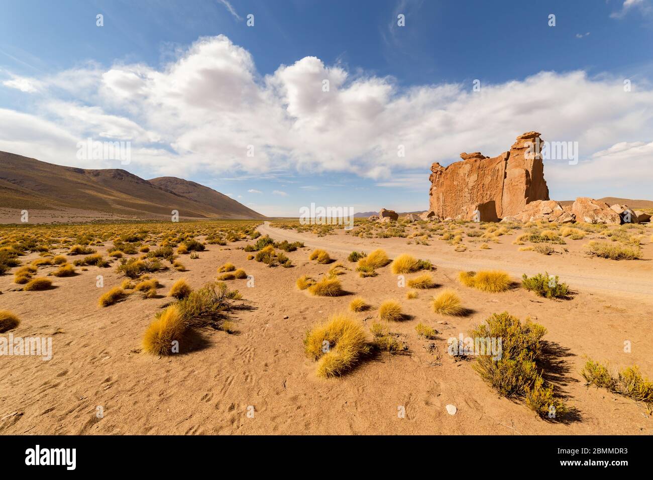 Eroded and bizarre formed orange colored rocks and boulders in Valle de ...