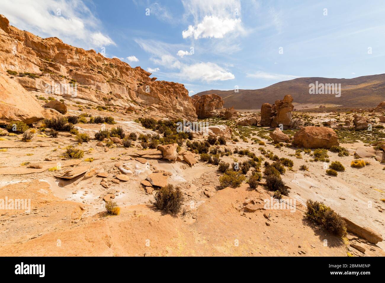 Andean Andes High Resolution Stock Photography and Images - Alamy