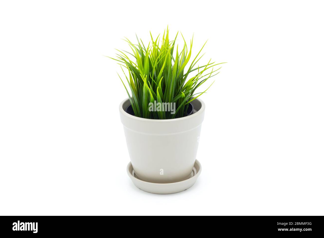 Beautiful artificial green grass in pots ceramic isolated on white ...