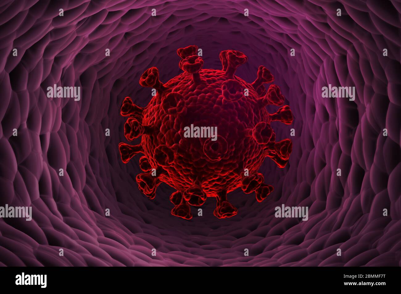 An illustration showing a coronavirus in the human body Stock Photo - Alamy