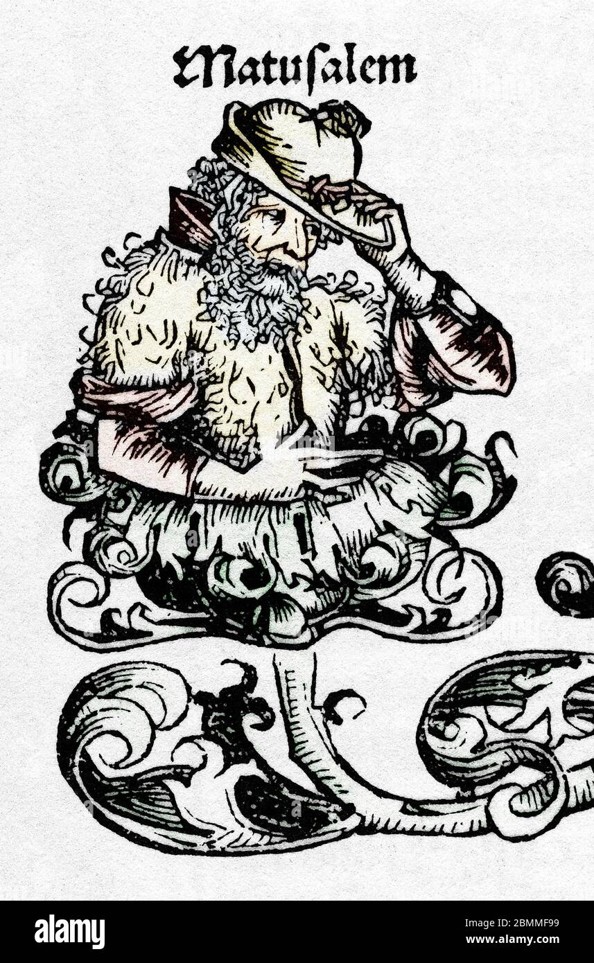 Methuselah hi-res stock photography and images - Alamy