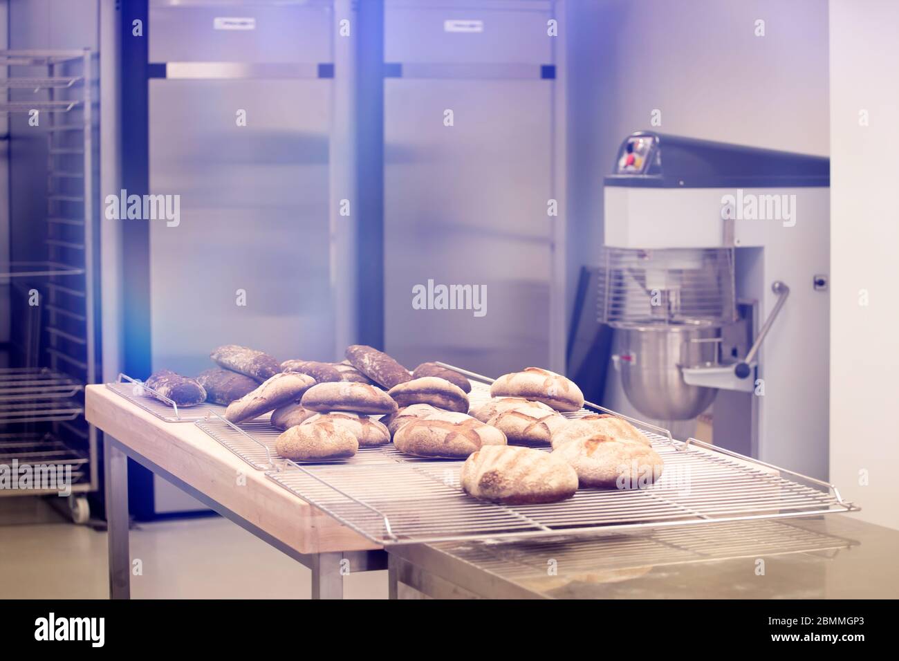 Different kinds of fresh traditional breads in bakery Stock Photo - Alamy