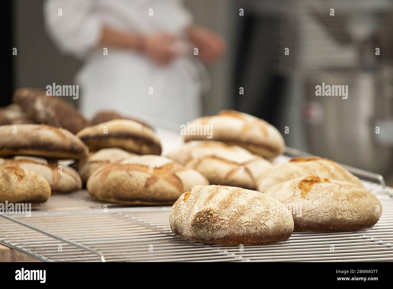 Different kinds of fresh traditional breads in bakery Stock Photo - Alamy