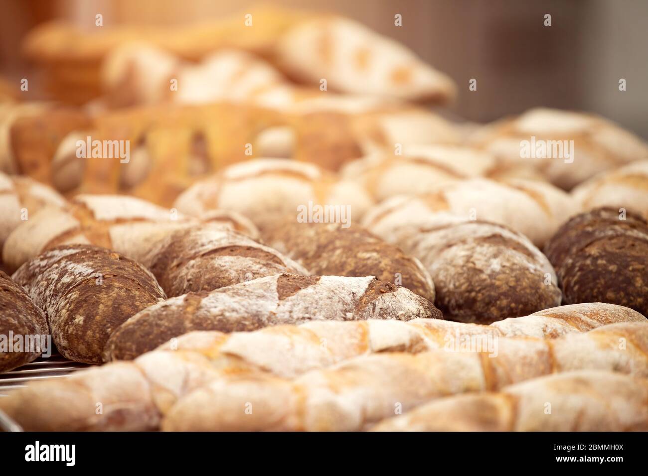 Different kinds of fresh traditional breads in bakery Stock Photo - Alamy