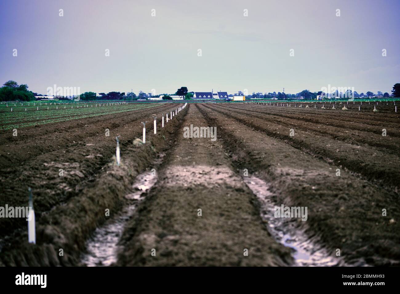 Outdoor cultivation hi-res stock photography and images - Alamy