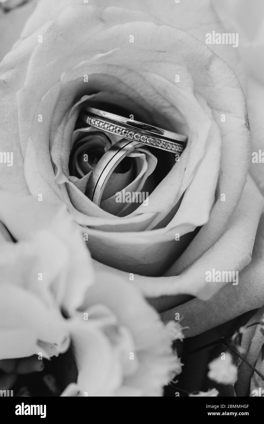 wedding rings close up Stock Photo - Alamy