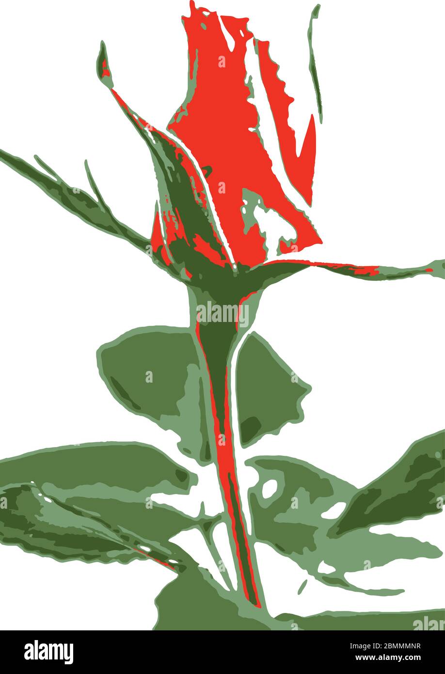 red rose isolated on white background Stock Vector Image & Art - Alamy