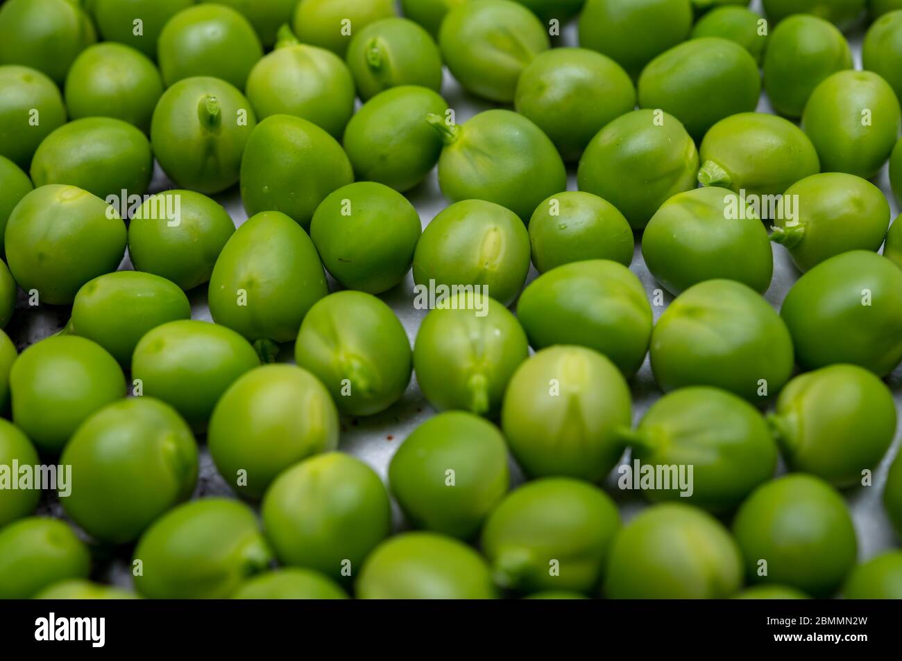 New harvest of fresh ripe green peas legumes Stock Photo - Alamy