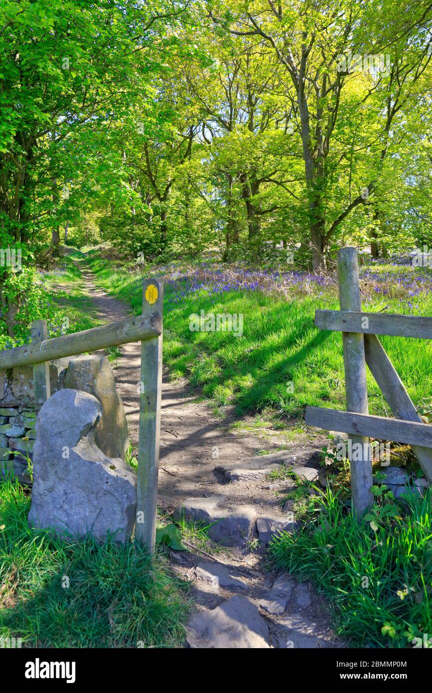 Honley woods hi-res stock photography and images - Alamy