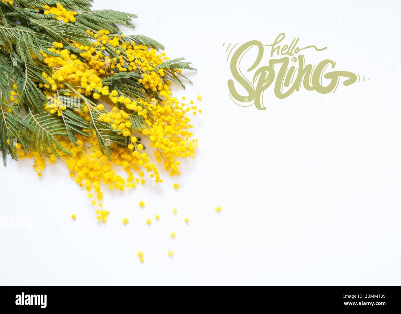 Spring background. Mimosa flower. Card for Mothers day, 8 March, Easter ...