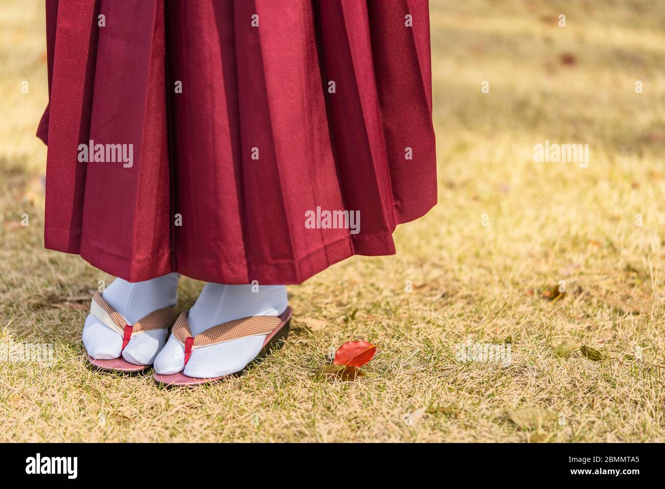 Close up on the legs of a Japanese woman in purple hakama kimono with ...