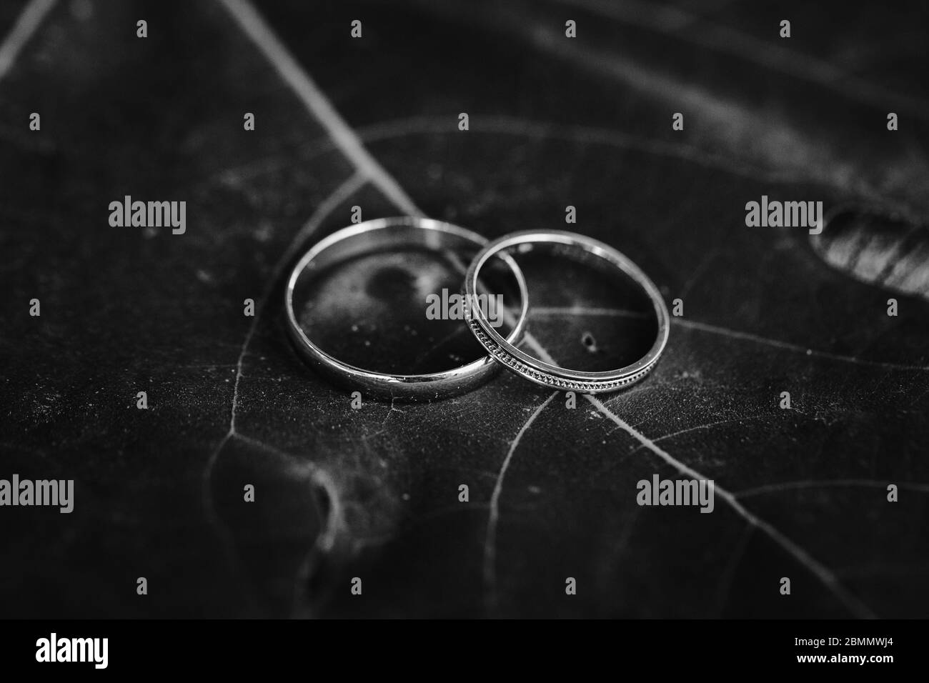 wedding rings close up Stock Photo - Alamy