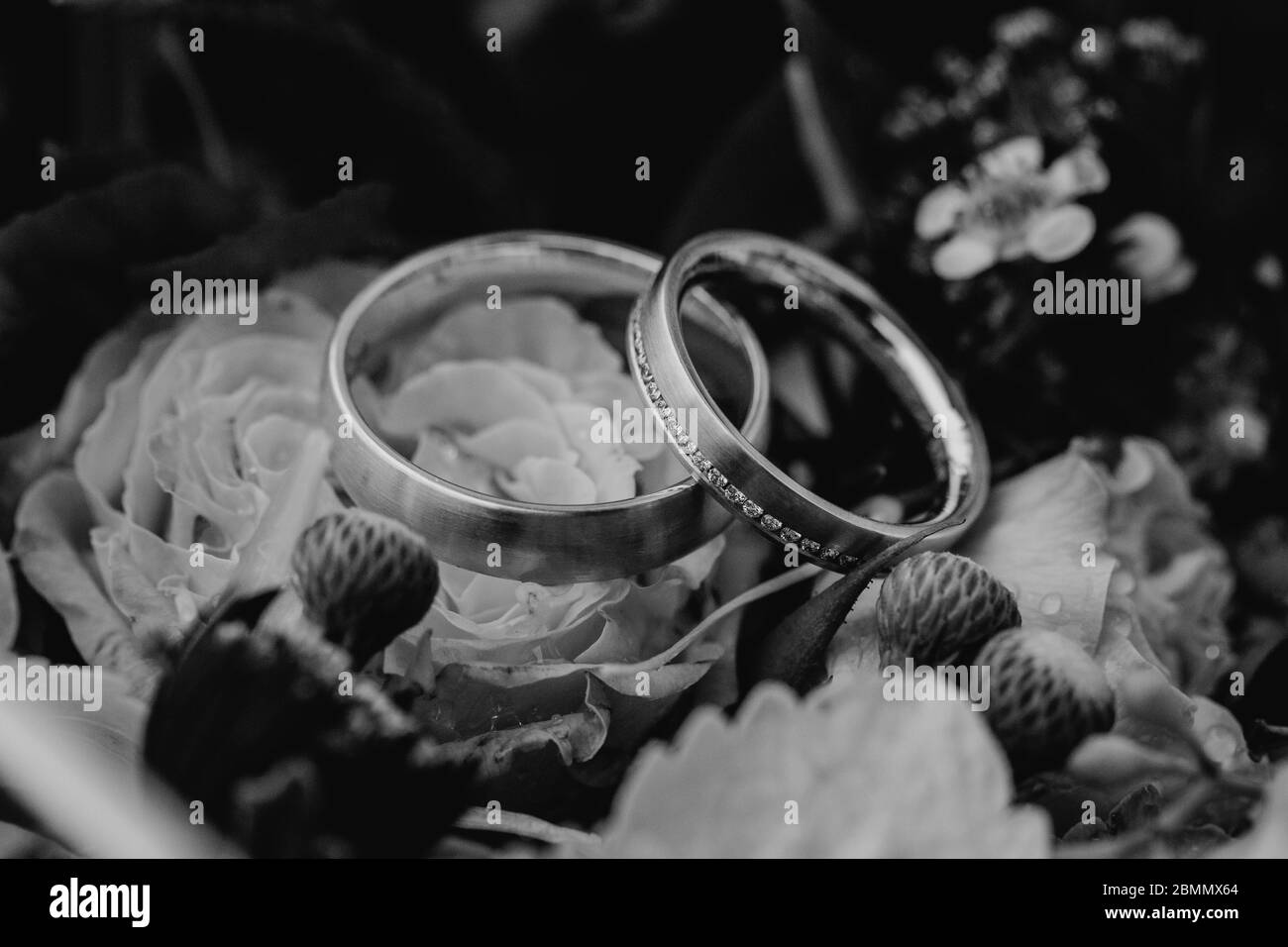 wedding rings close up Stock Photo - Alamy