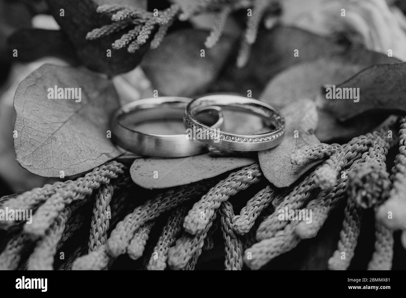 wedding rings close up Stock Photo - Alamy