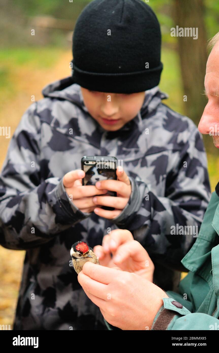Child takes photos of a bird in hand Stock Photo - Alamy