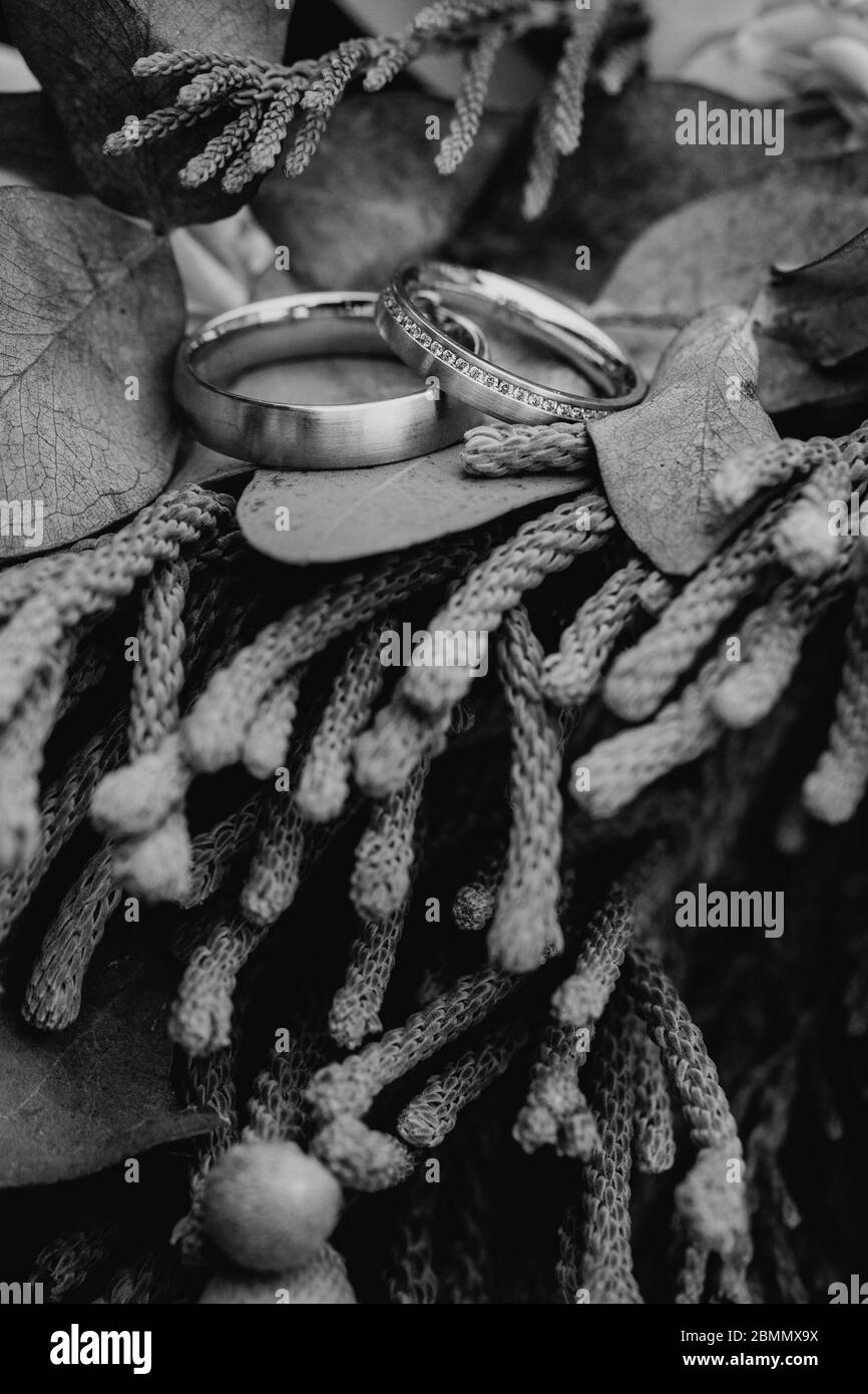 wedding rings close up Stock Photo - Alamy