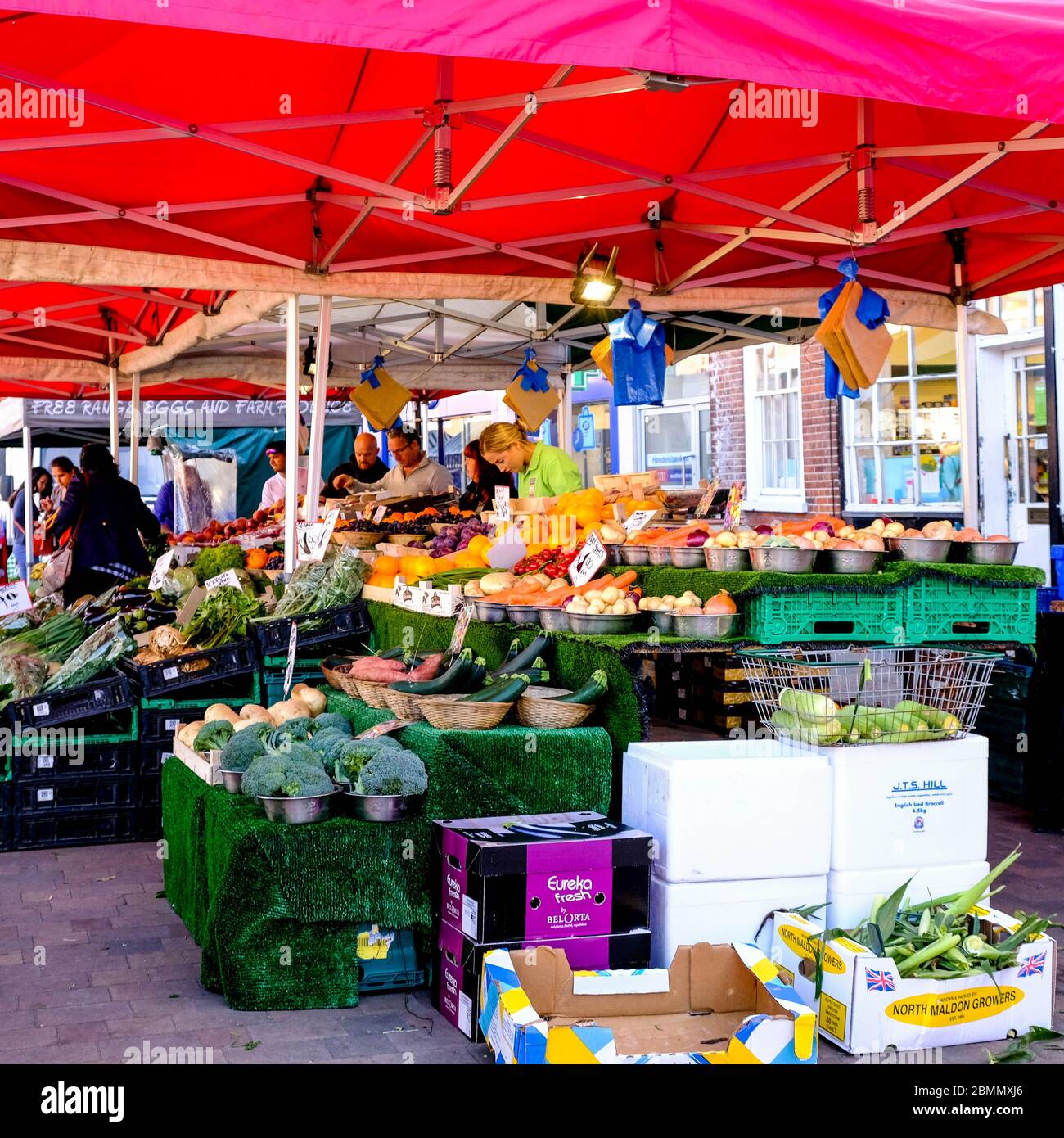 Canopy street hi-res stock photography and images - Alamy