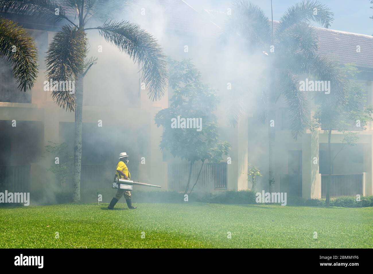A gardener doing a poisoning activity by spraying insecticide or ...