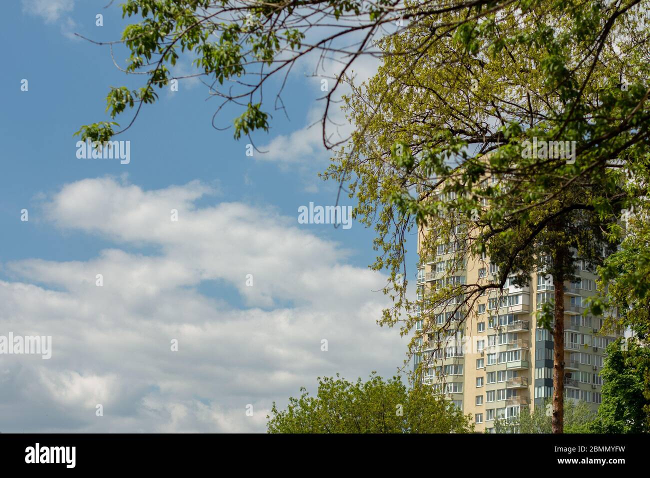 tall apartment building among trees and leaves Stock Photo - Alamy
