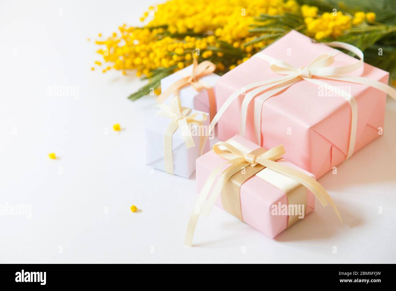 Mimosa flowers and festive gift boxes. Mother's Day and March 8th ...