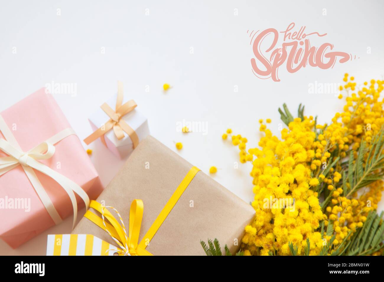Mimosa flowers and festive gift boxes. Mother's Day and March 8th ...