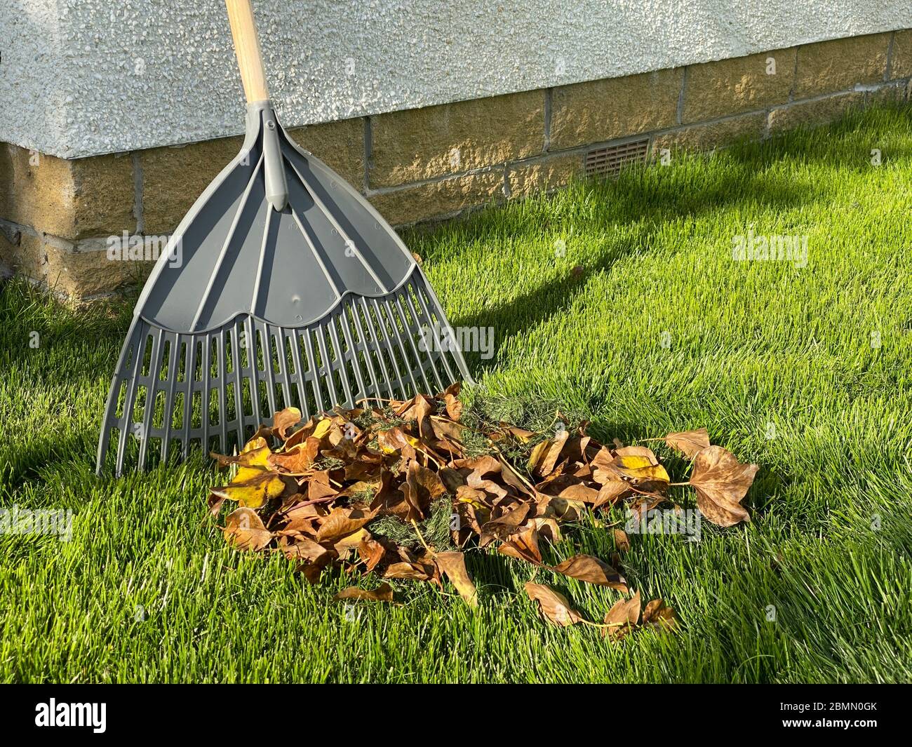 Plastic rake hi-res stock photography and images - Alamy