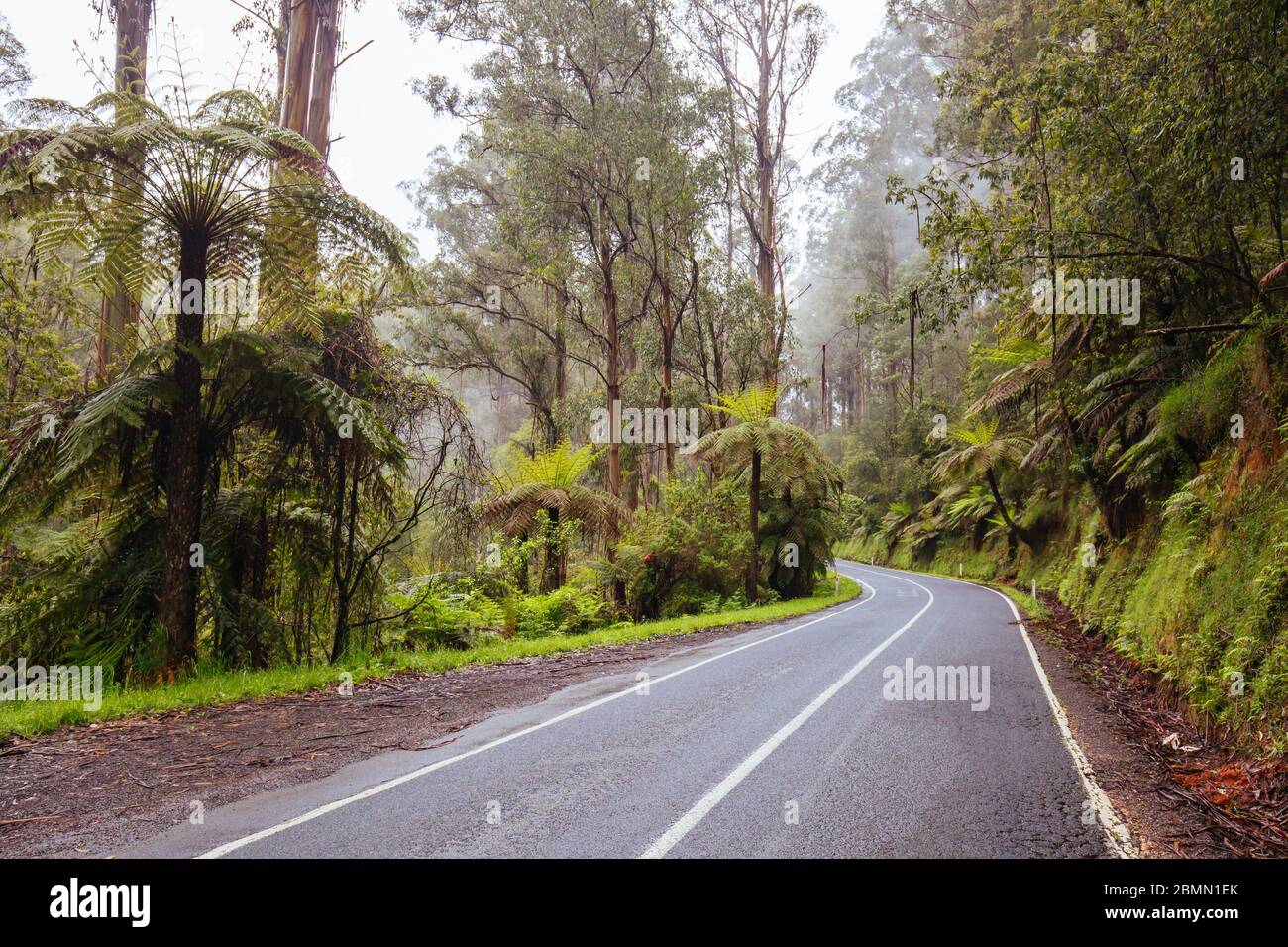 Yarra junction victoria hi-res stock photography and images - Alamy