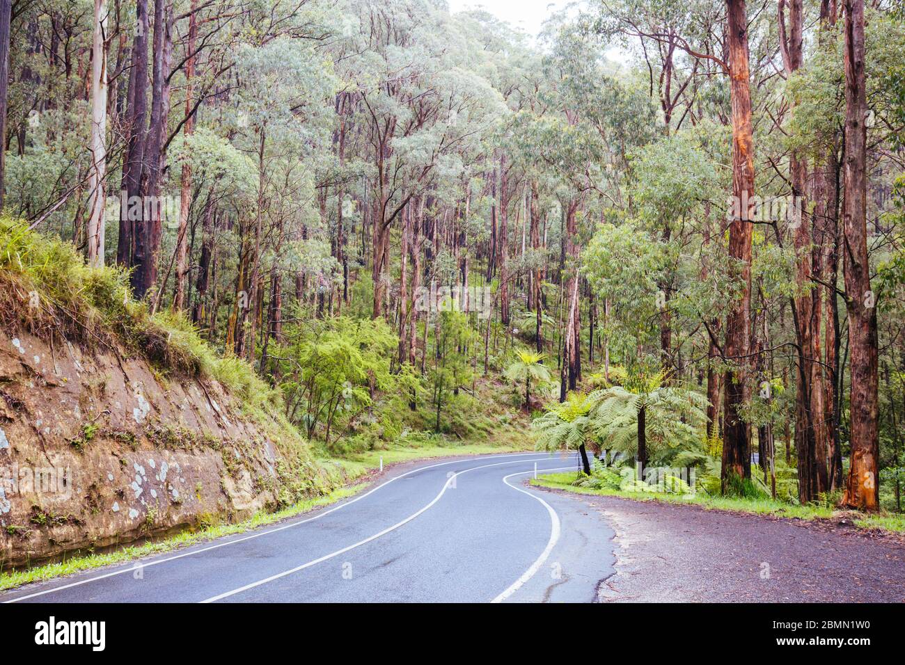 Yarra junction australia hi-res stock photography and images - Alamy