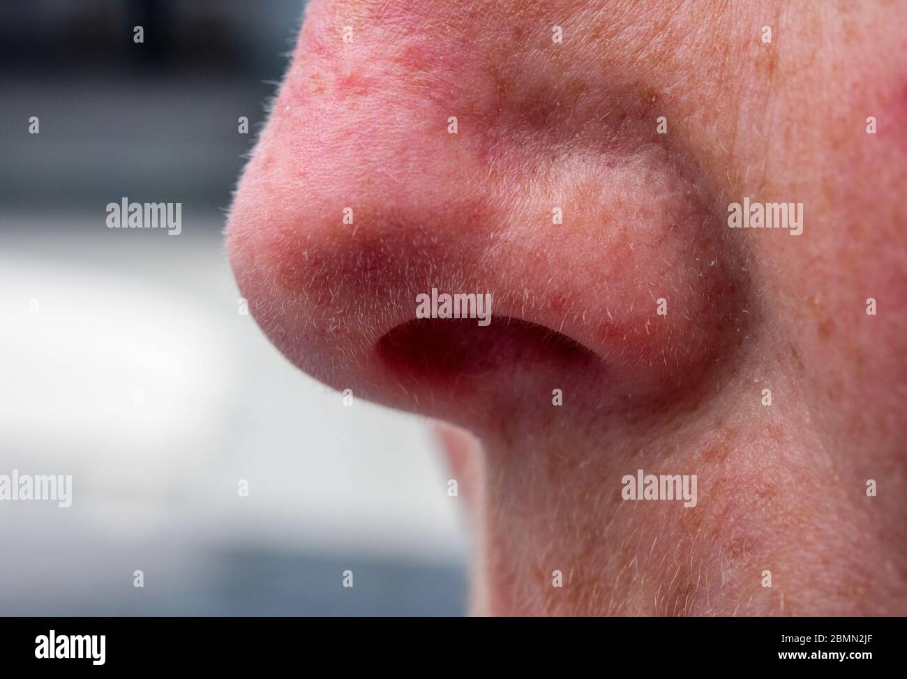 Nostrils close up woman hi-res stock photography and images - Alamy