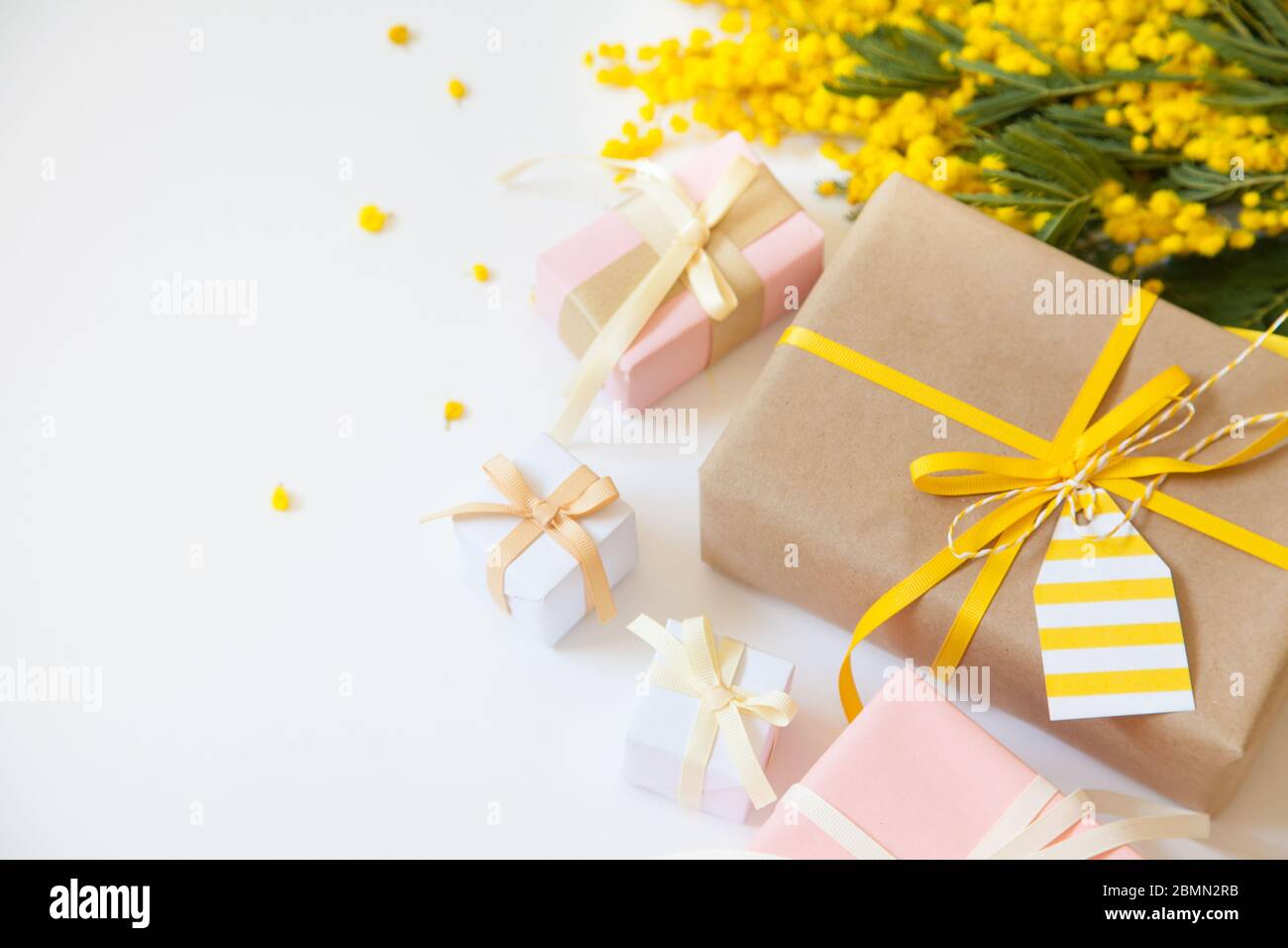 Mimosa flowers and festive gift boxes. Mother's Day and March 8th ...