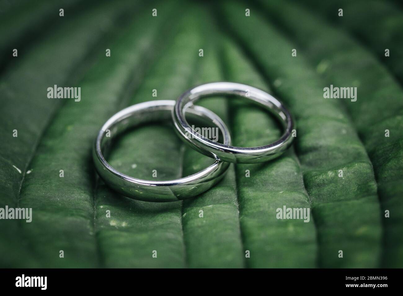 wedding rings close up Stock Photo - Alamy