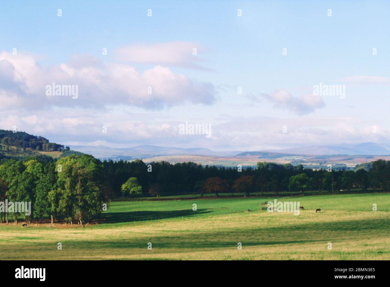 The view to Cheviot near Alnwick Stock Photo - Alamy