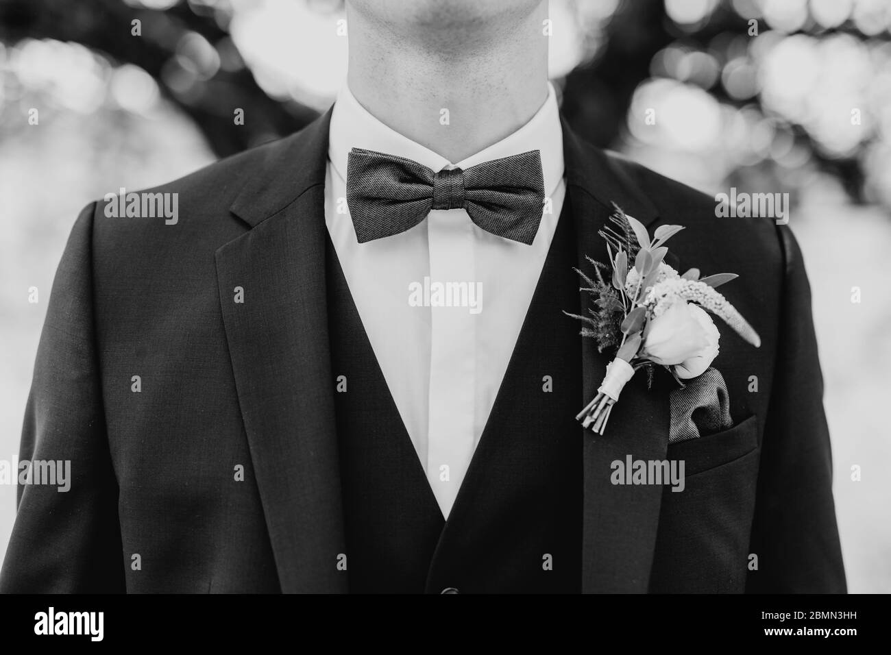 Butterfly preparation Black and White Stock Photos & Images - Alamy