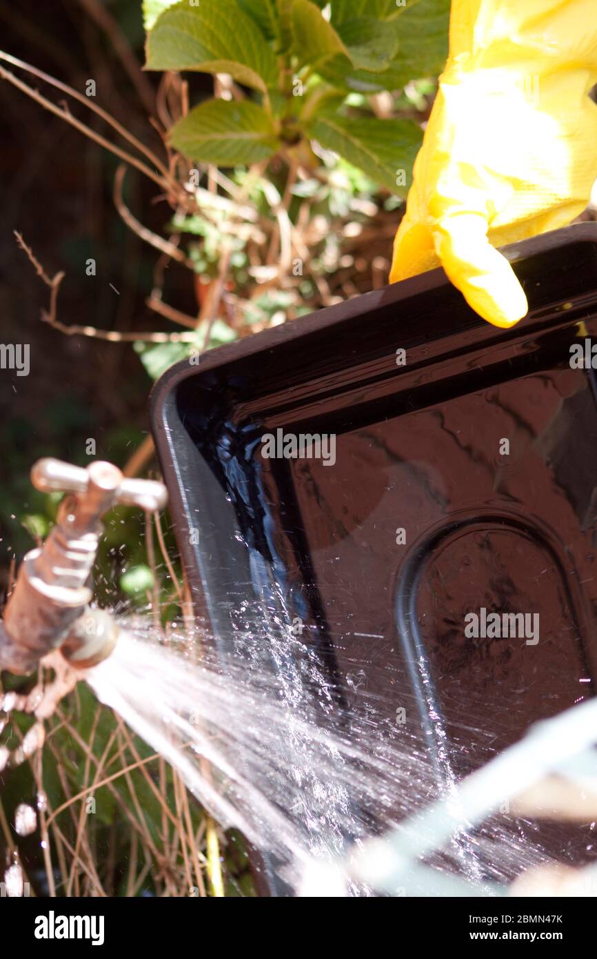 Prepare preparing water washing hi-res stock photography and images - Alamy
