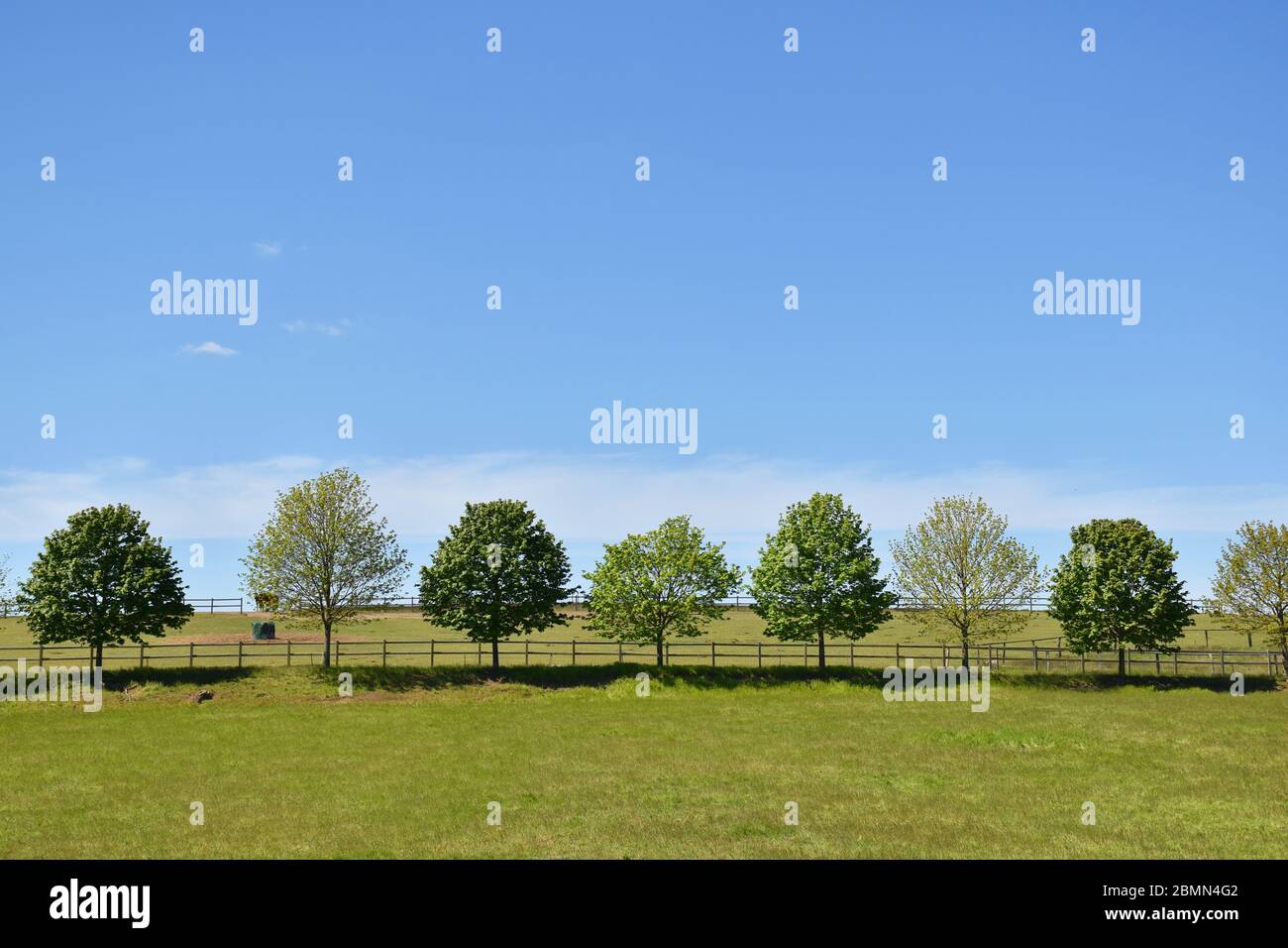 Lined up with trees hi-res stock photography and images - Alamy