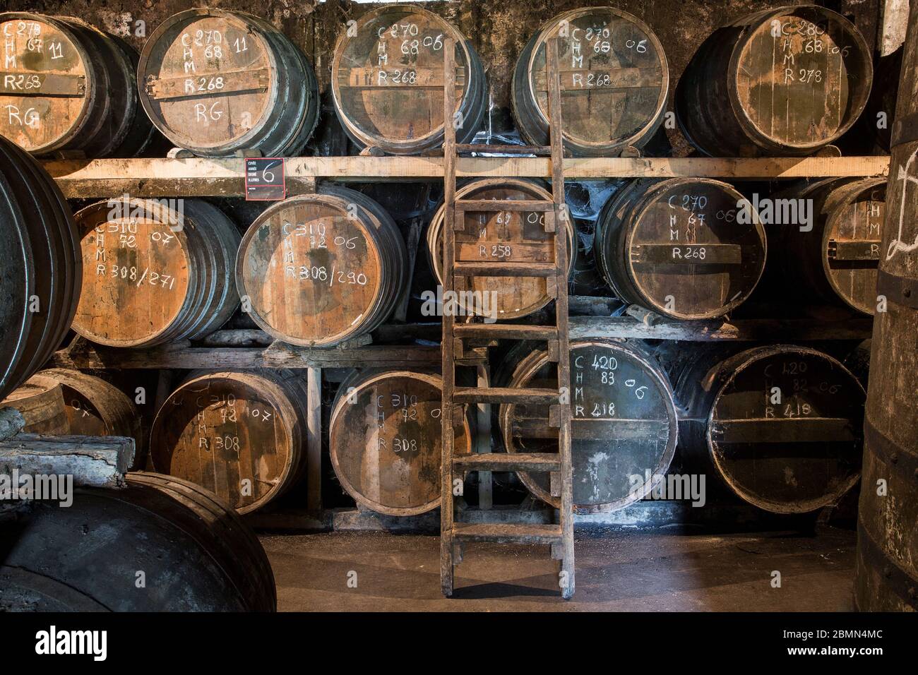 Inside a traditional Cognac cellar Stock Photo - Alamy