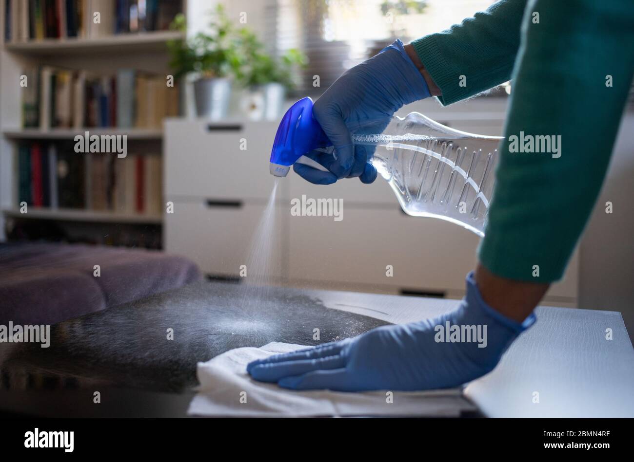 surface home cleaning spraying antibacterial sanitizing spray bottle disinfecting against COVID ...