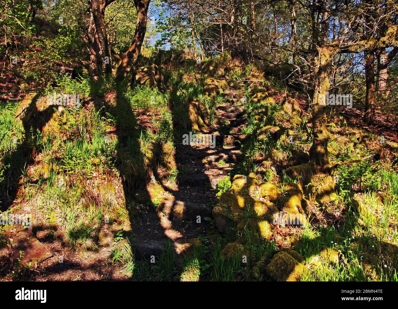 Mossy Steps High Resolution Stock Photography and Images - Alamy