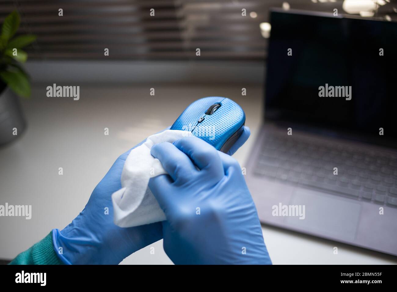 Mouse Washing High Resolution Stock Photography and Images - Alamy