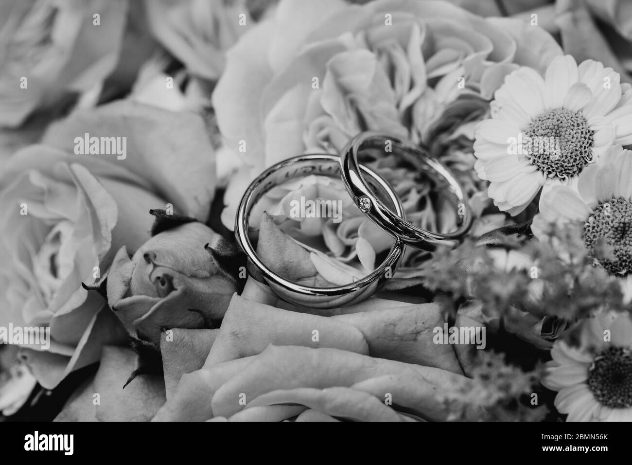 wedding rings close up Stock Photo - Alamy
