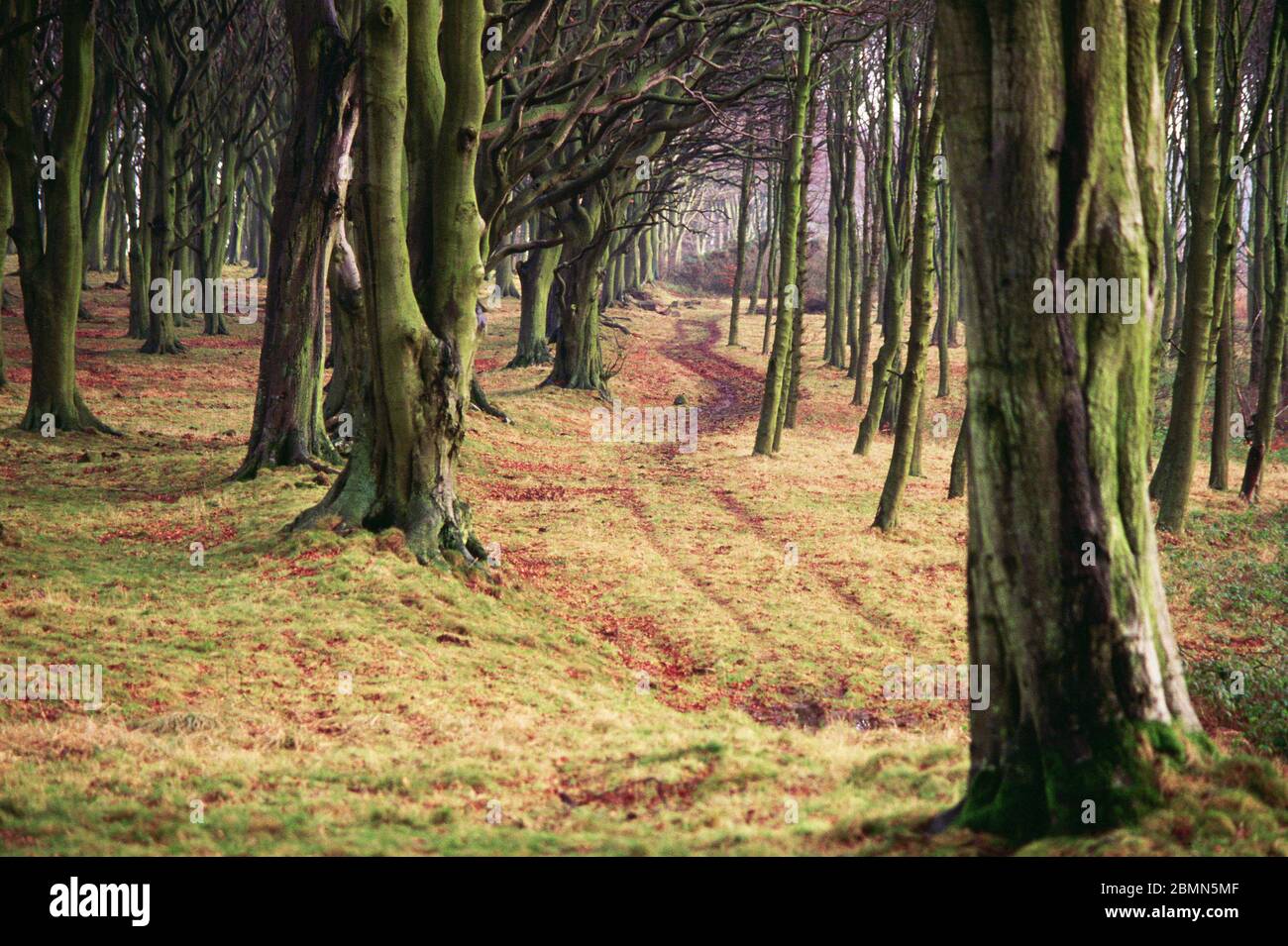 Historic belt drive hi-res stock photography and images - Alamy