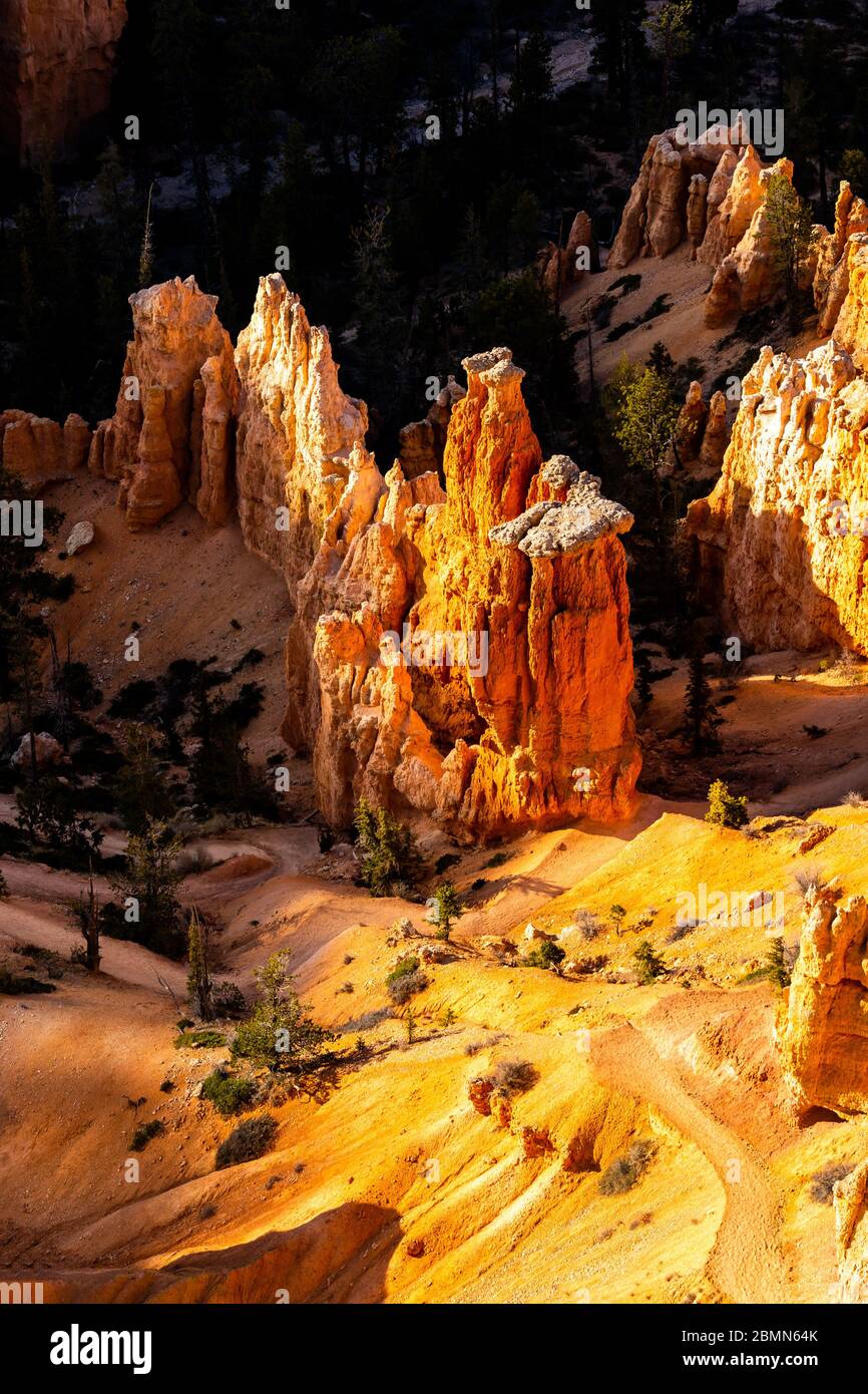 Landscape Hoodoos in Bryce Canyon National Park viewpoint in Utah ...