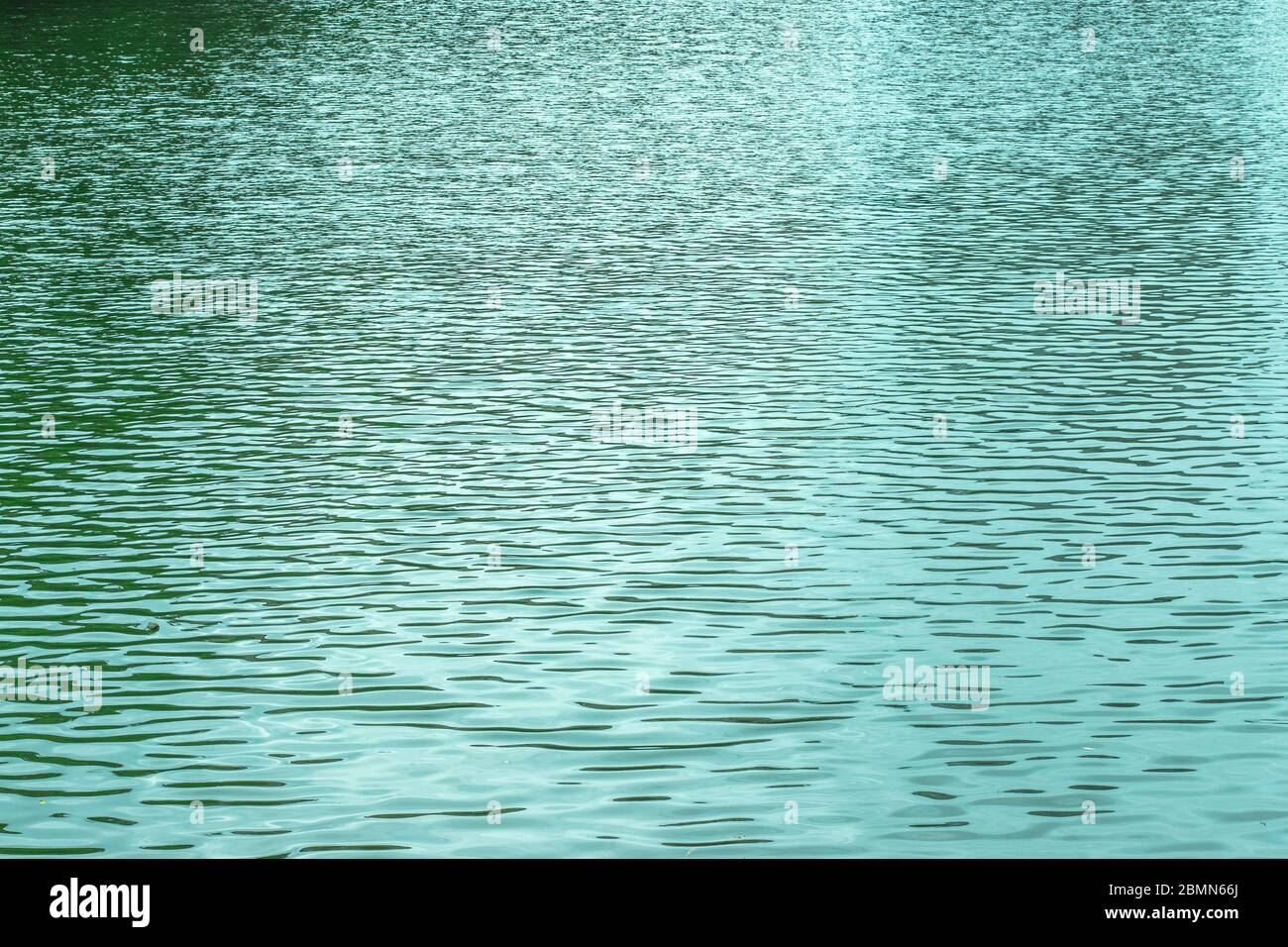 Pond Water Texture