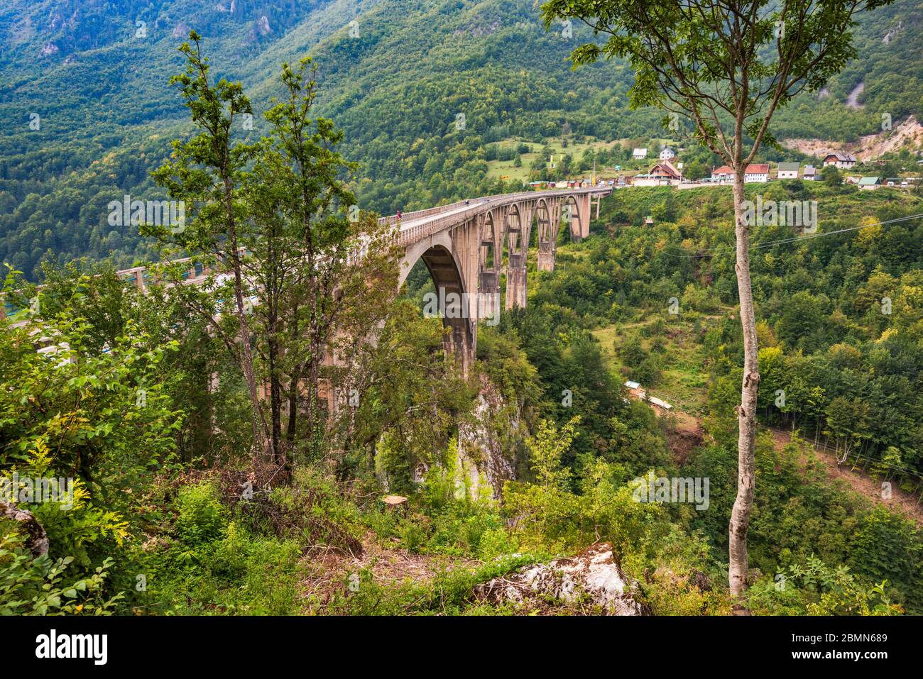 Durdevica Tara Bridge, concrete arch bridge over Tara River Canyon ...