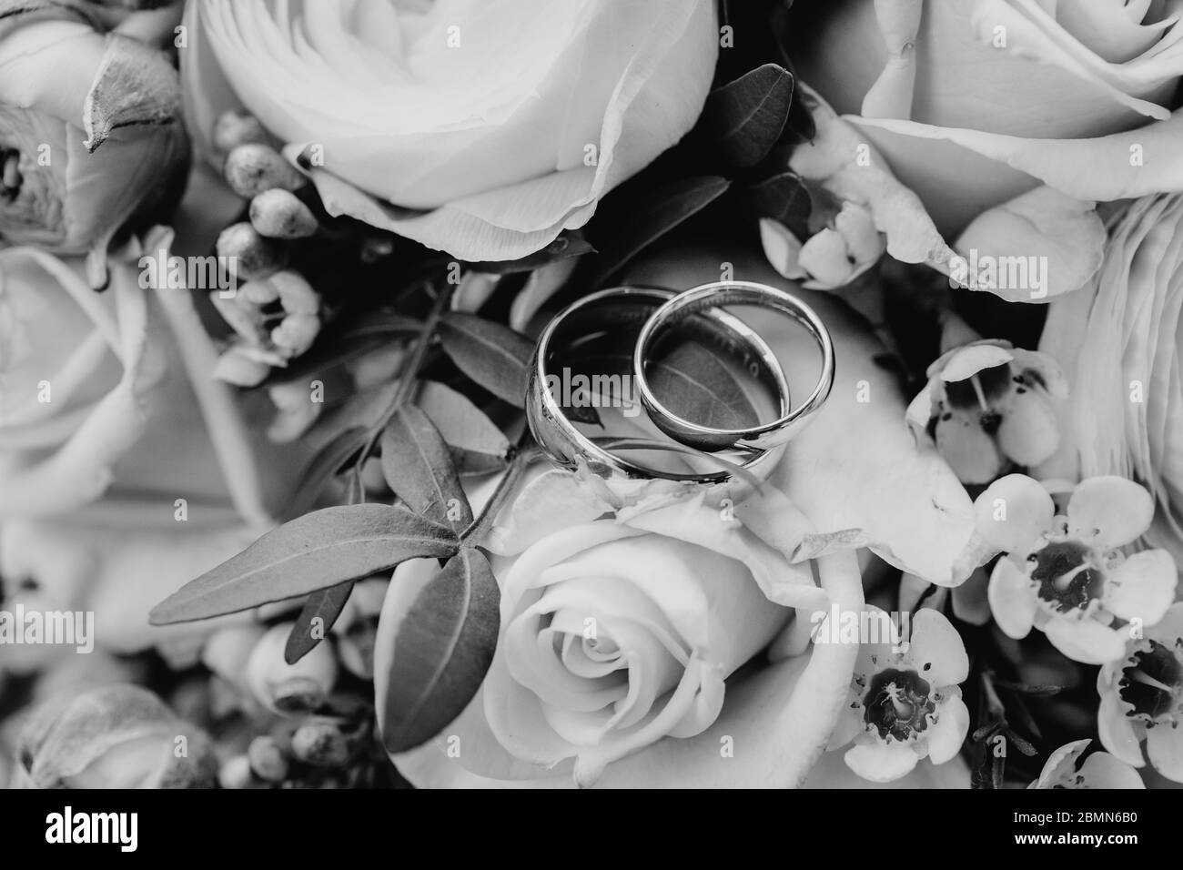 wedding rings close up Stock Photo - Alamy