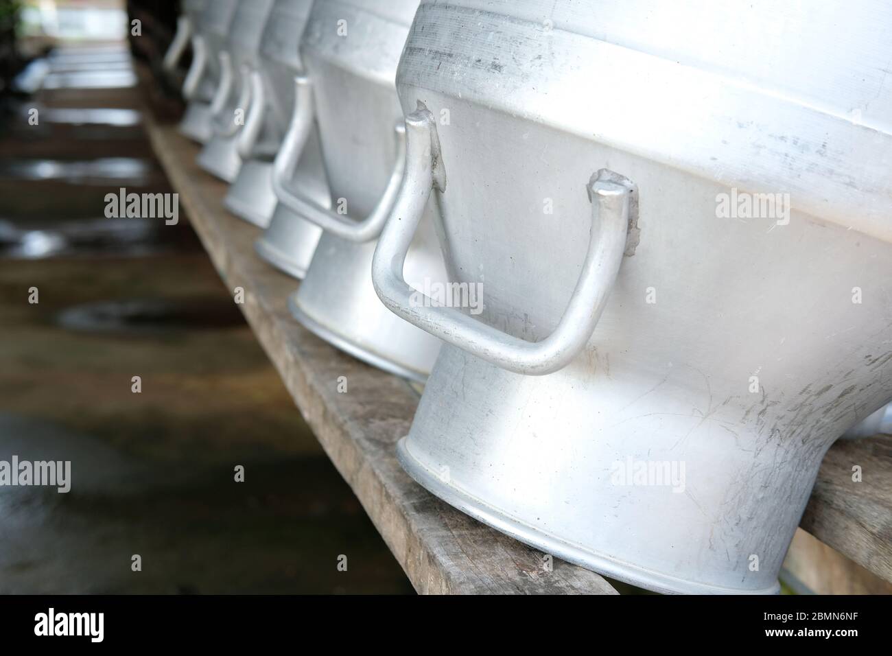 Close up. Raw milk bucket in the farm. Aluminum material Stock Photo ...