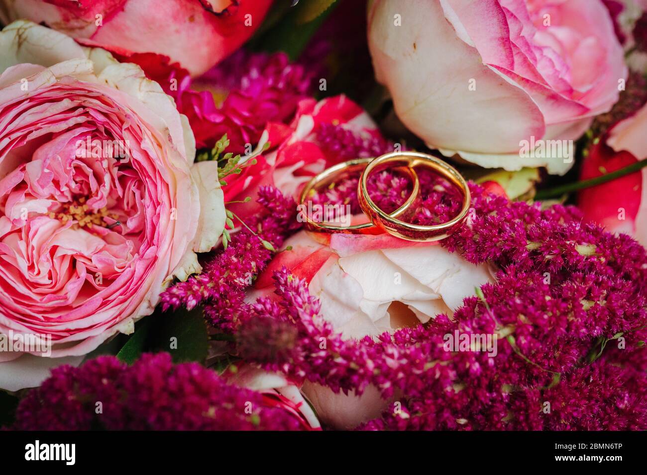 wedding rings close up Stock Photo - Alamy