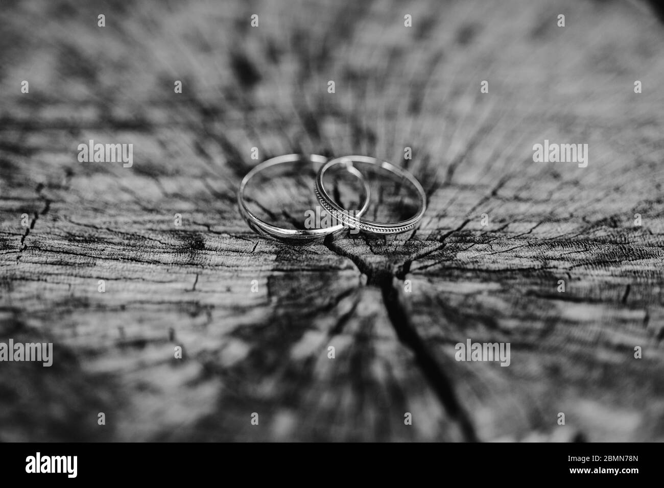 wedding rings close up Stock Photo - Alamy