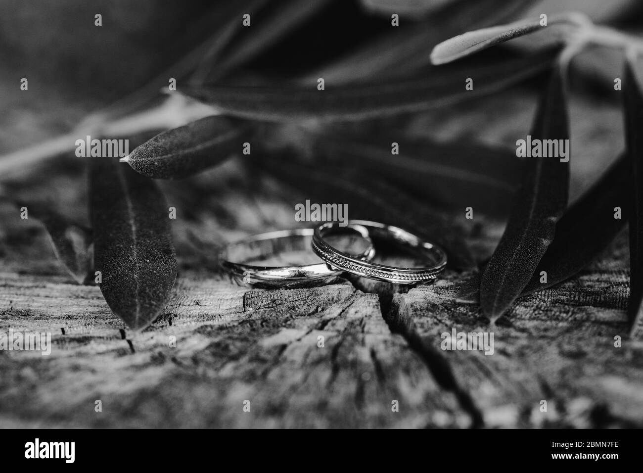 wedding rings close up Stock Photo - Alamy